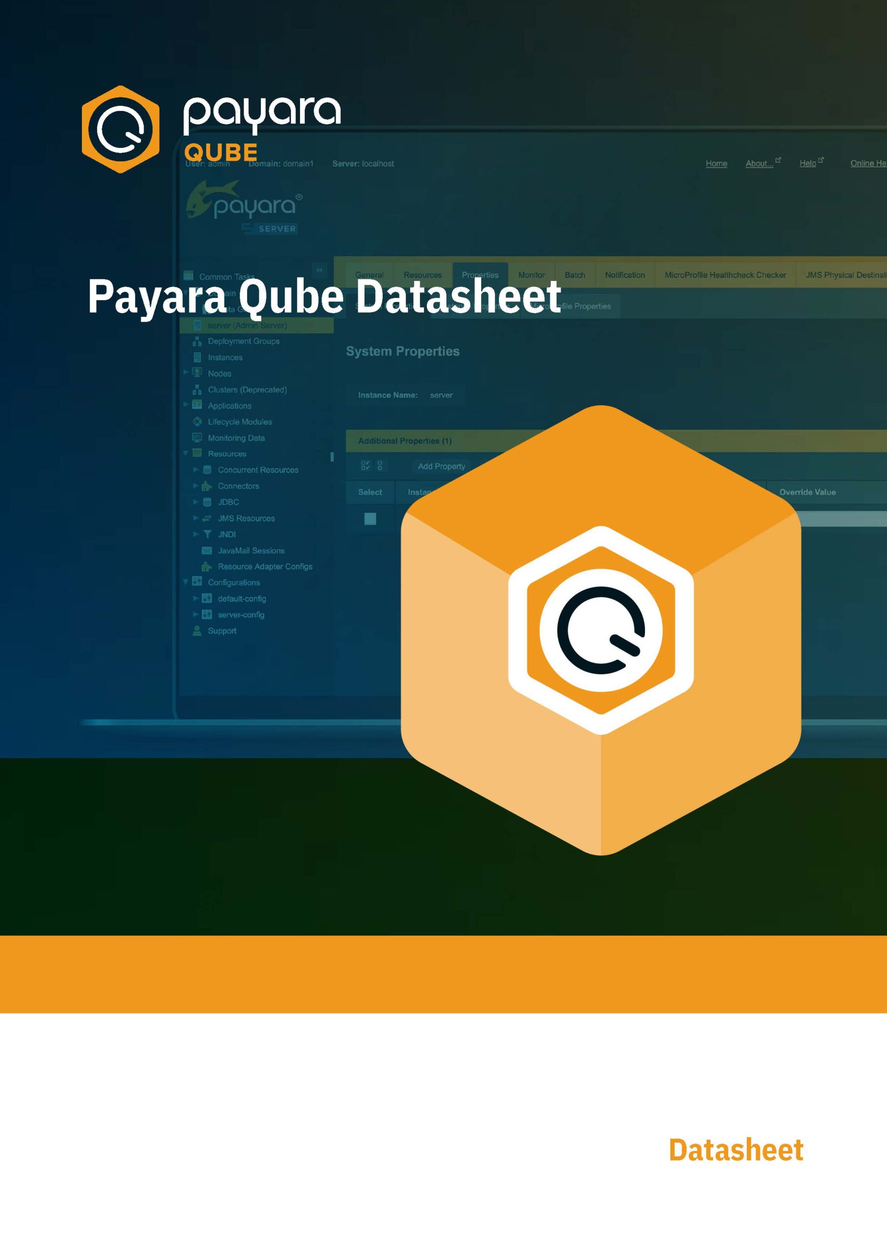 Datasheet: Payara Qube – Payara Services Ltd
