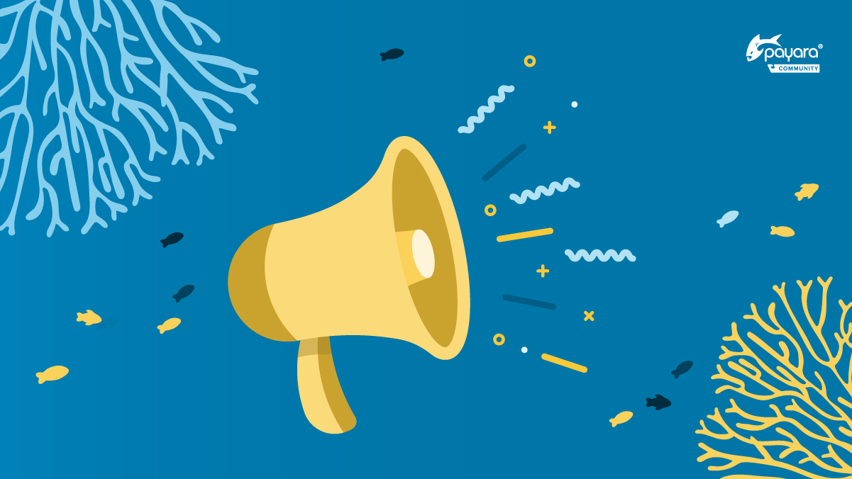 Payara Platform vs. WildFly vs. JBoss: Which Application Server to Choose?