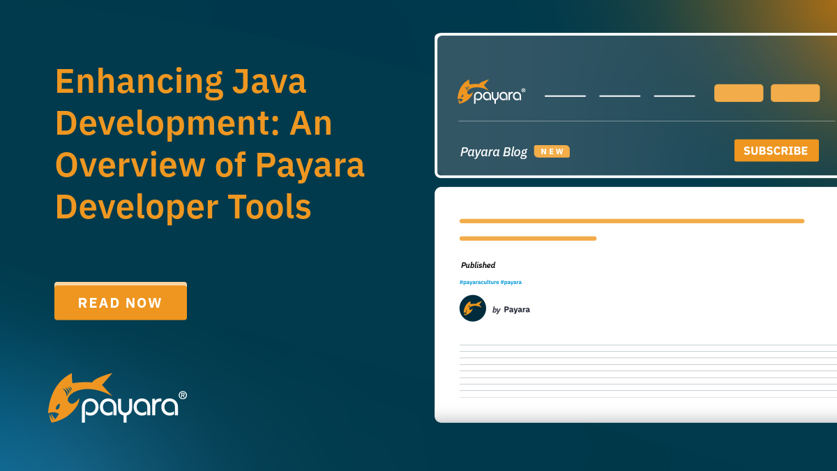 Enhancing Java Development: An Overview of Payara Developer Tools ...