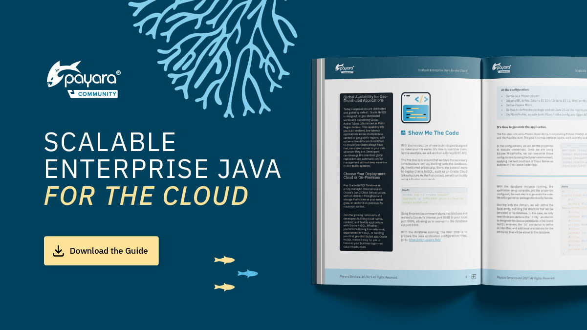 Scalable Enterprise Java for the Cloud | Payara Services Ltd